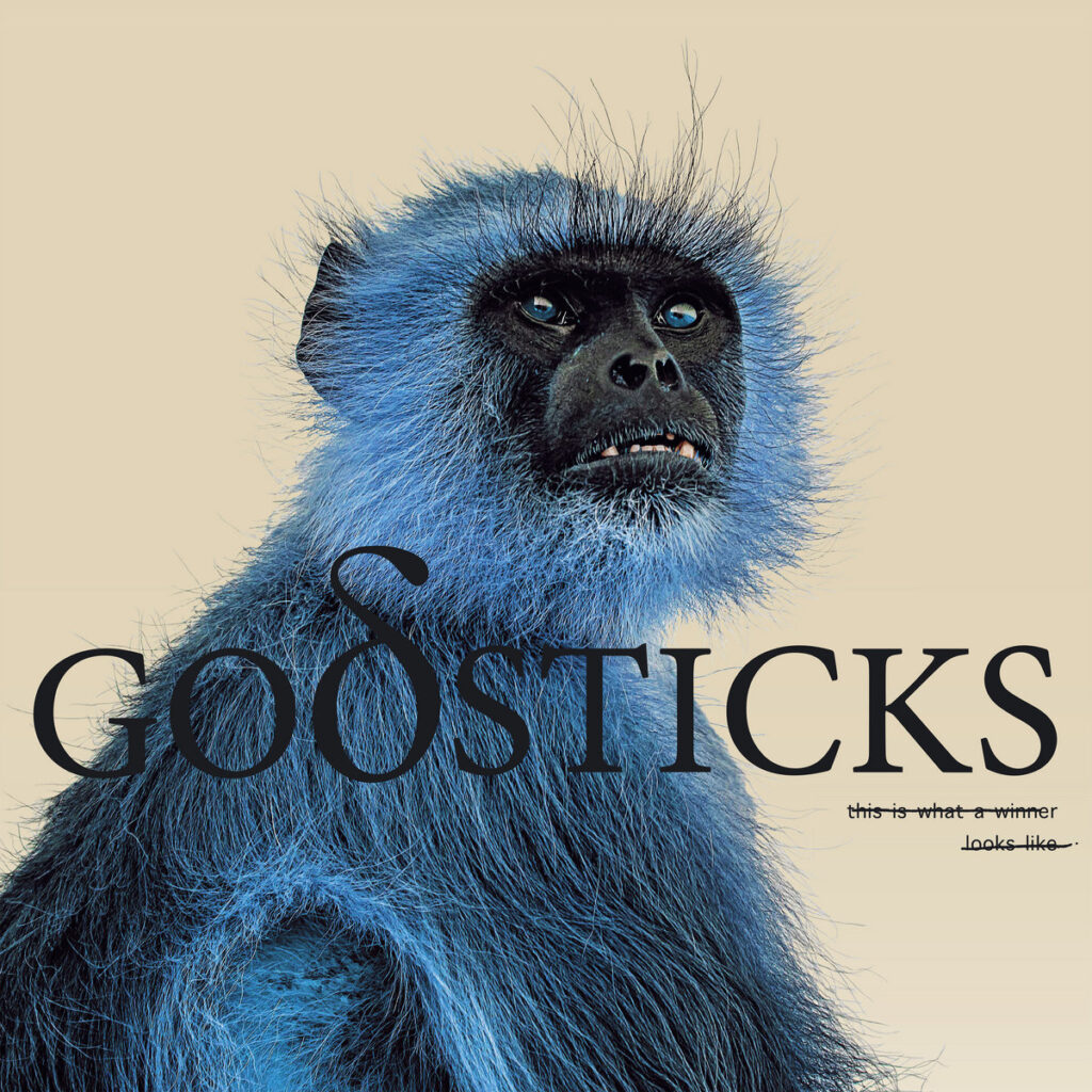 Neues "Godsticks" Album im Mai - STONE PROG